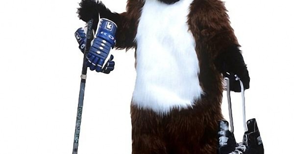 Badger Uniform, Badger Mascot Costume